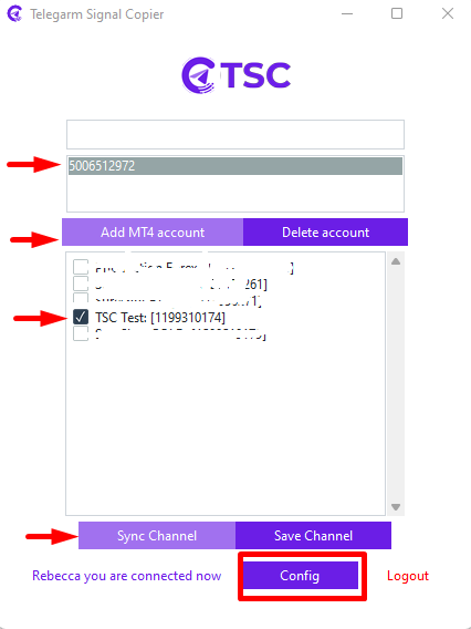 How to set the config file in Telegram Signal Copier?